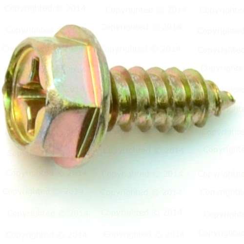 Phillips Hex Head License Plate Screw – ScrewsAndBolts.com
